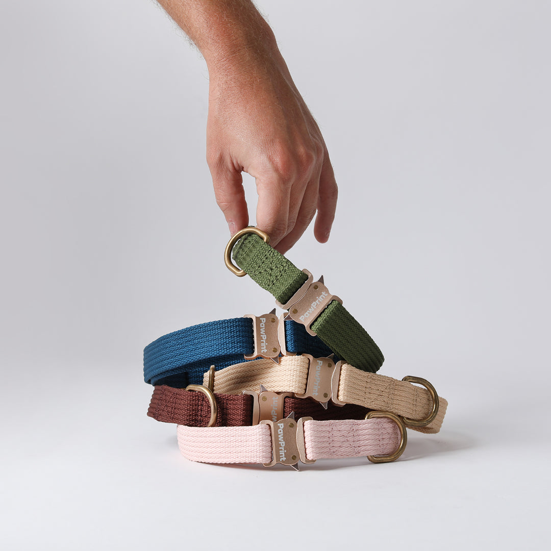 Seafarer Tag™ | Brass Dog Tag Made from Recycled Materials | PawPrint