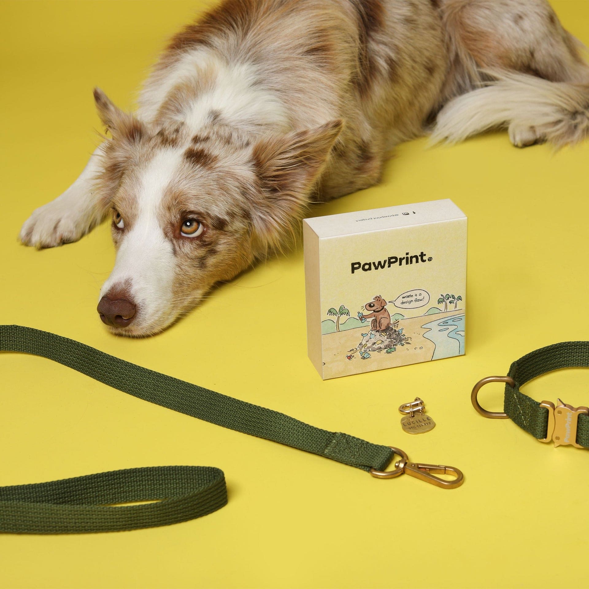 Seafarer Tag™ | Brass Dog Tag Made from Recycled Materials | PawPrint
