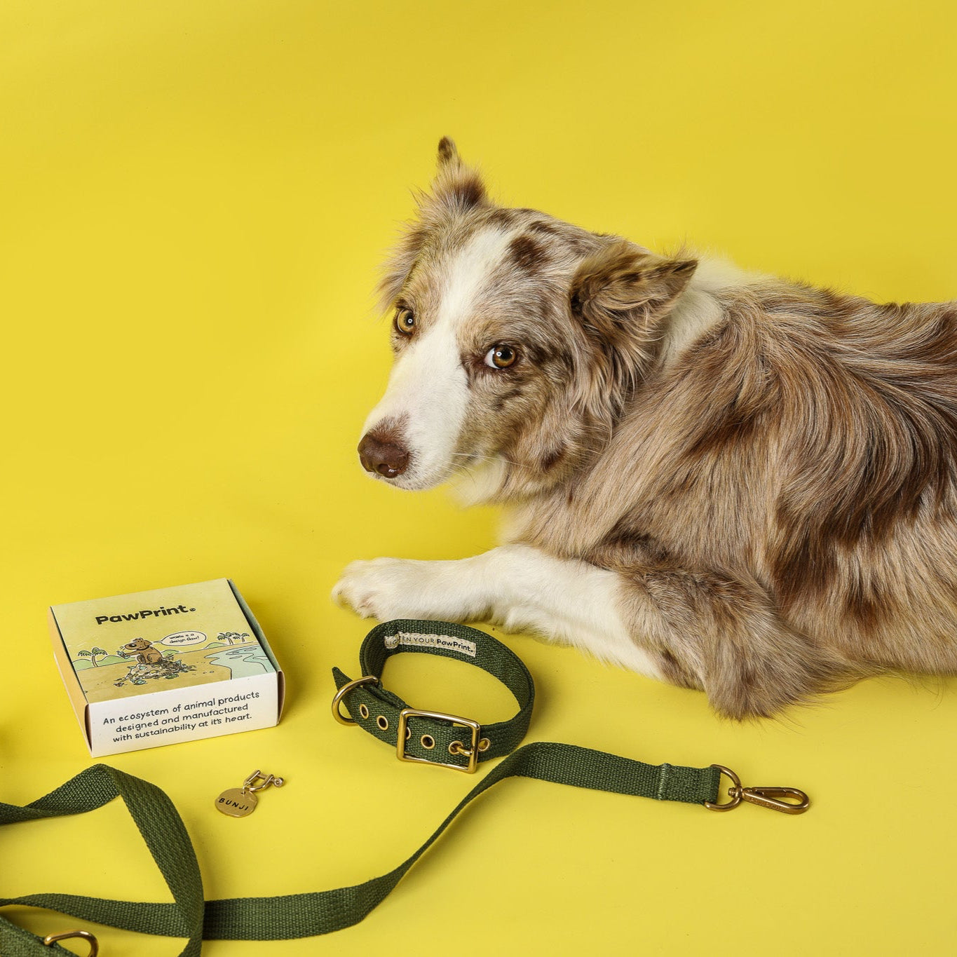 Seafarer Tag™ | Brass Dog Tag Made from Recycled Materials | PawPrint